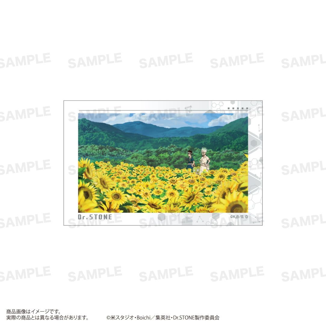 TVアニメ『Dr.STONE』トレーディング場面写カード BOX｜アニメ・キャラクターコラボグッズのECならeeo Store（イーオストア）