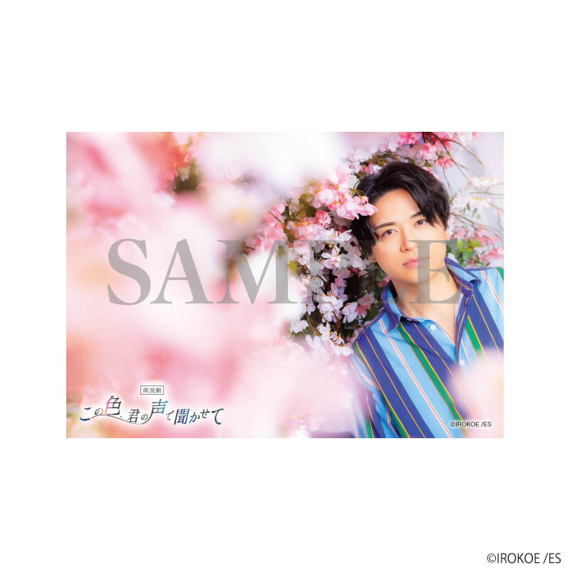 eeoステージランダムブロマイド(2枚セット)「eeo Stage reading 朗読劇『この色、君の声で聞かせて』」01/ブラインド(40種)｜アニメ・キャラクターコラボグッズのECなら ...